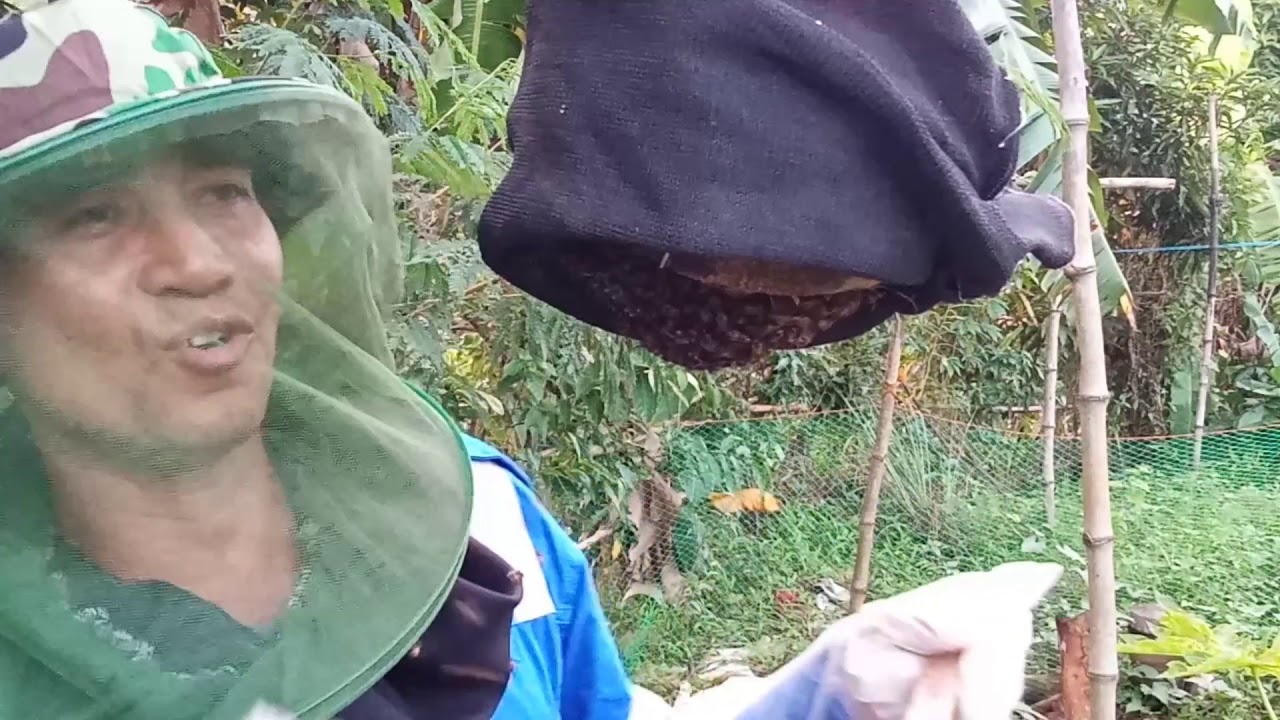 paano ilipat ang laywan sa kahon... - YouTube