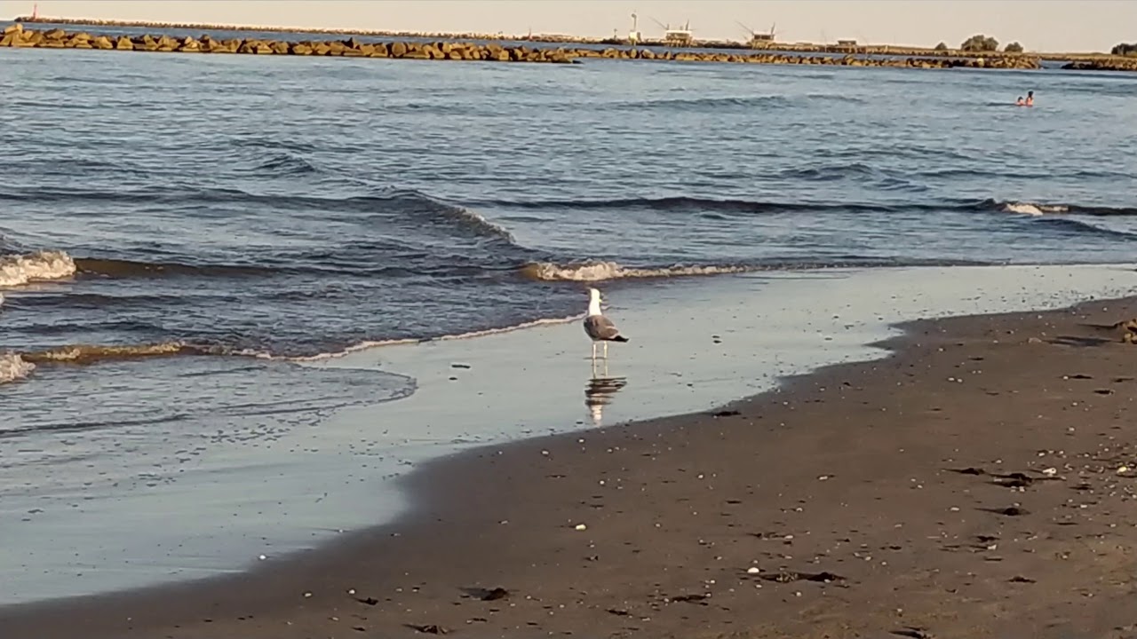 البحر ديال الطاليان. Lido Porto Garibaldi Ferrara - YouTube
