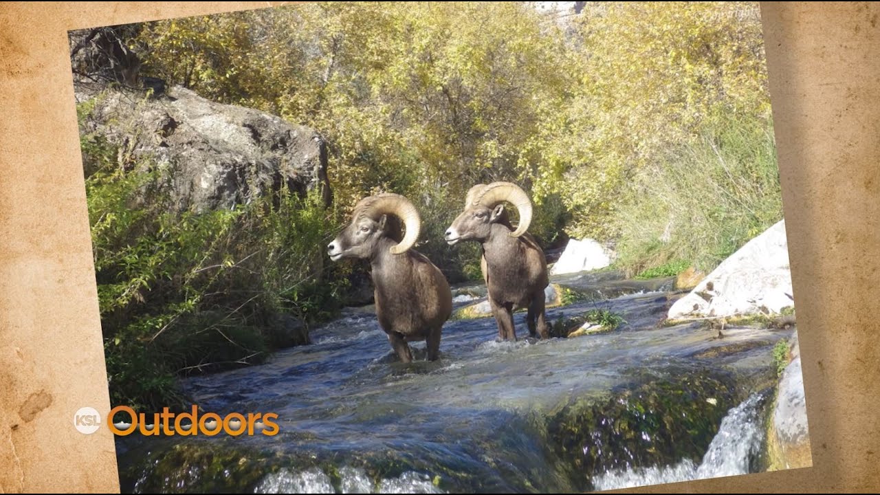 Snapshot of the Week: January 21, 2023 - YouTube