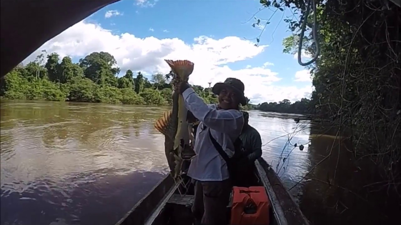 Amazonian River Monster fishing and Finding Truth in Pslams 69 - YouTube