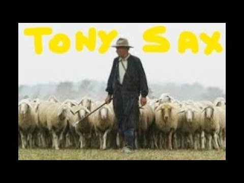 Tony Sax - The Lonely Shepherd (Il Pastore Solitario) - YouTube