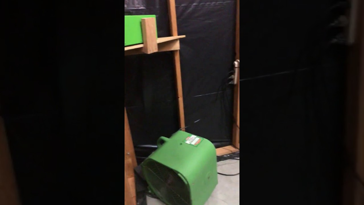 SERVPRO Ozone Room - YouTube