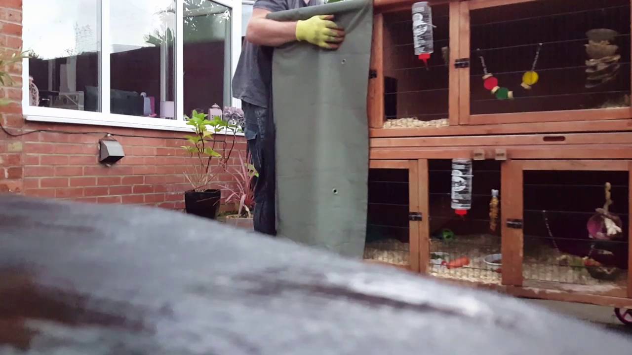 How to move a rabbit hutch with your 8yr old. - YouTube