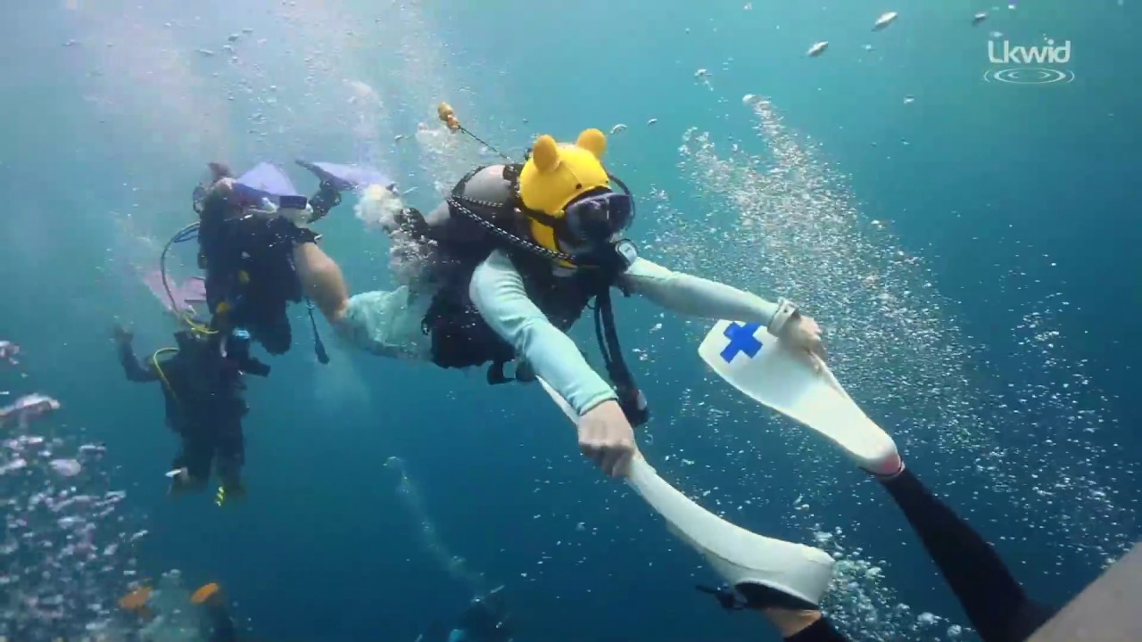 Scuba diving party gone wild: Sipadan 🇲🇾 - YouTube