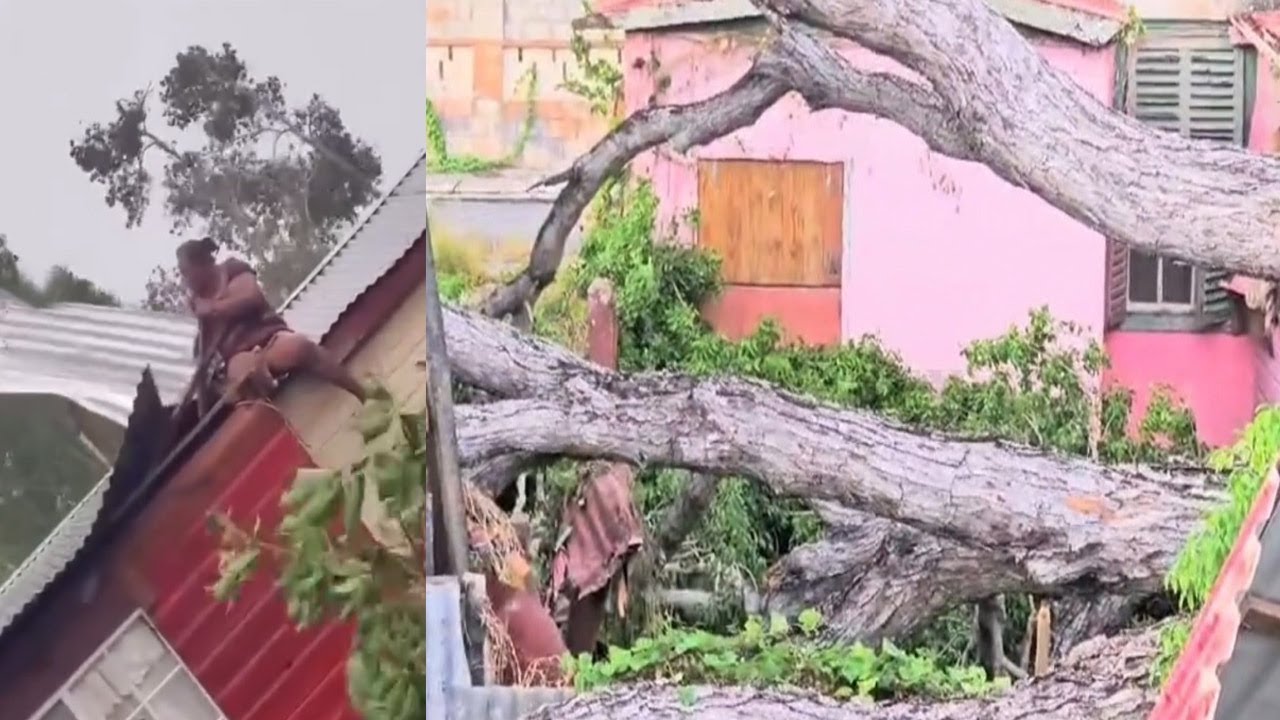 Woman K!lled Afta Hurricane Beryl Destroy Tree Limb In Hanover! Footage ...
