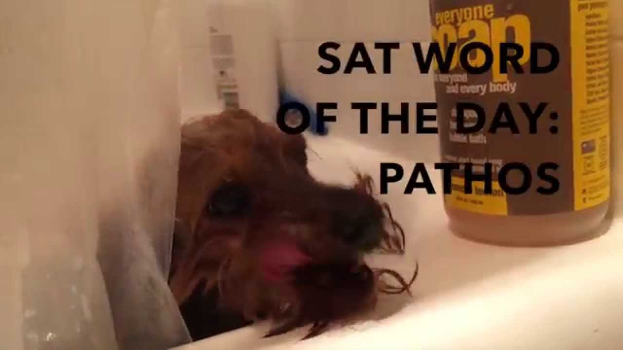 DOG GENIUS: PATHOS - YouTube