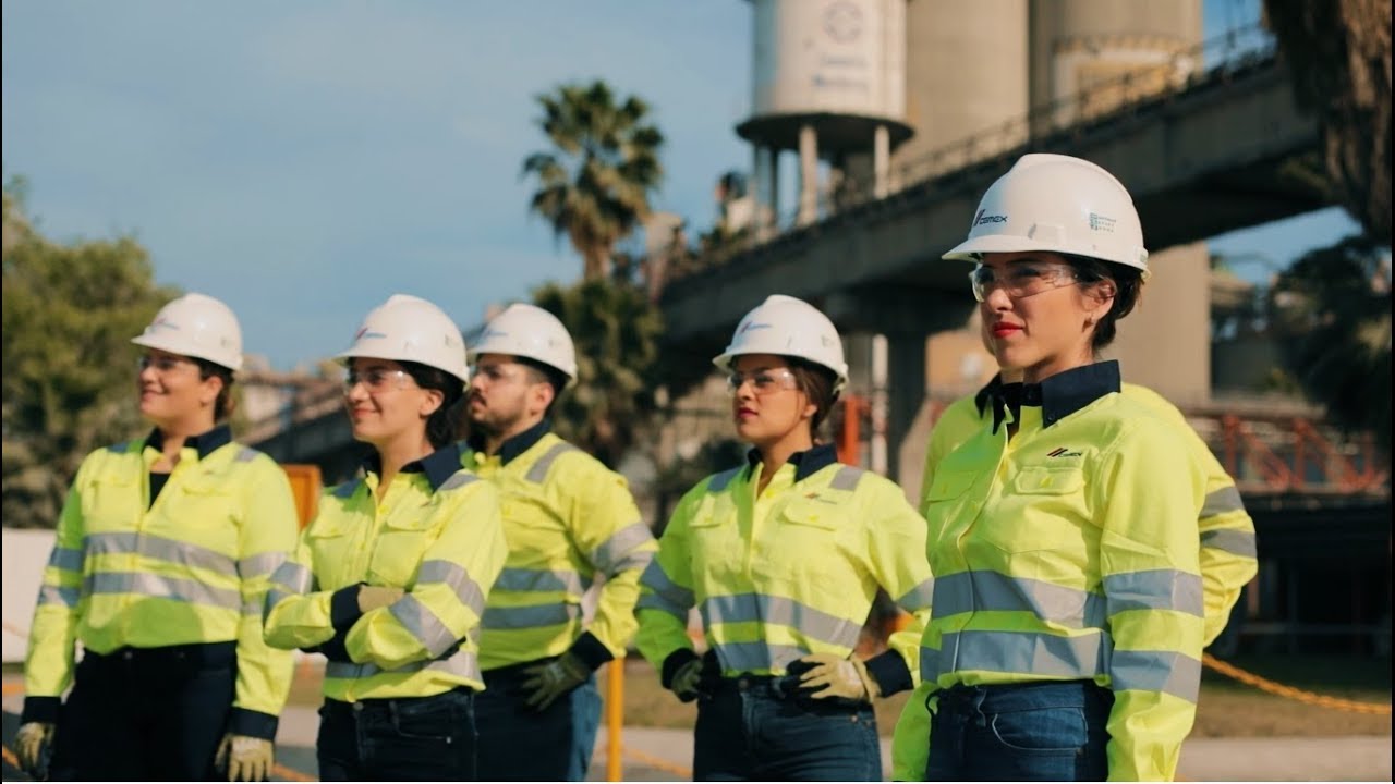 Profesionistas en Desarrollo - YouTube