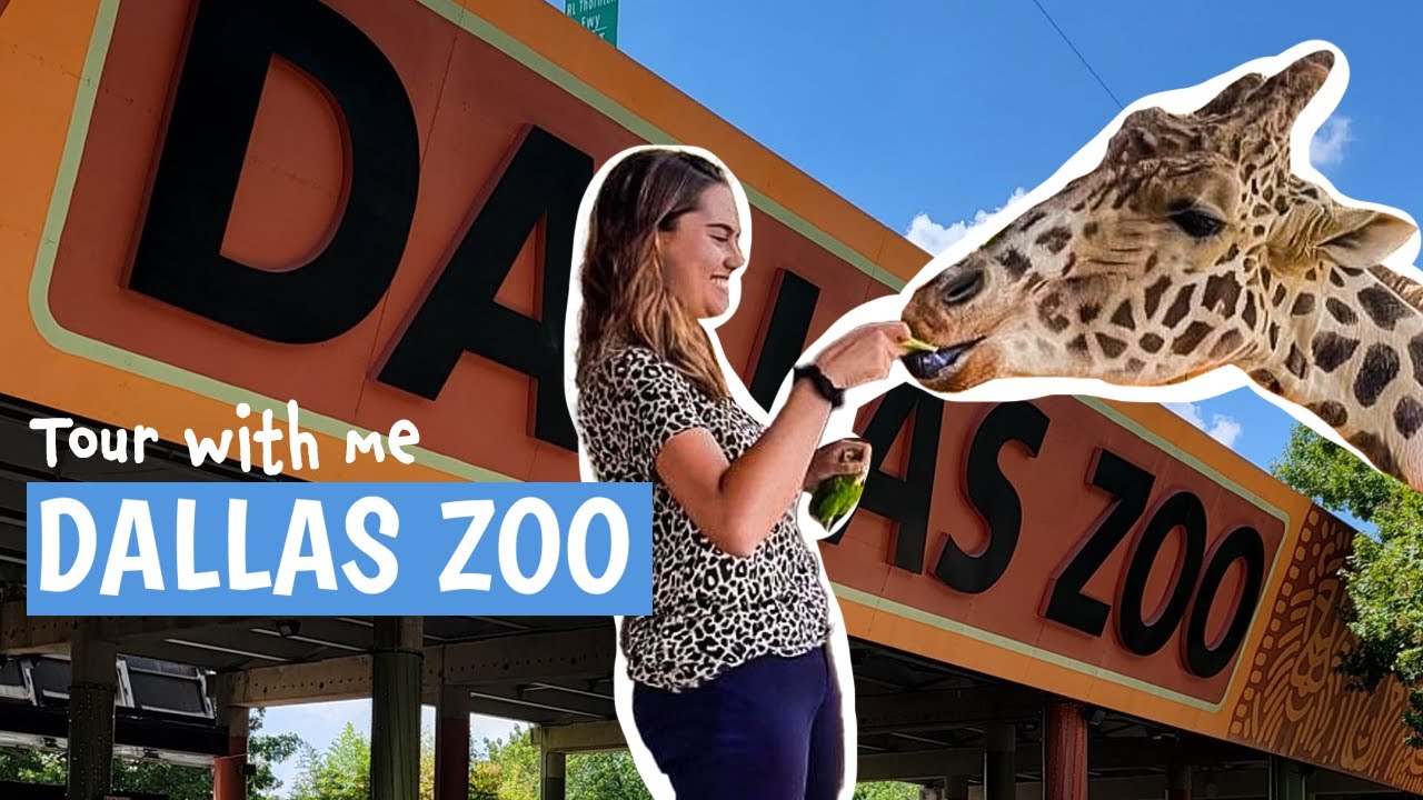 Exploring the Dallas Zoo: A Wild Adventure! - YouTube