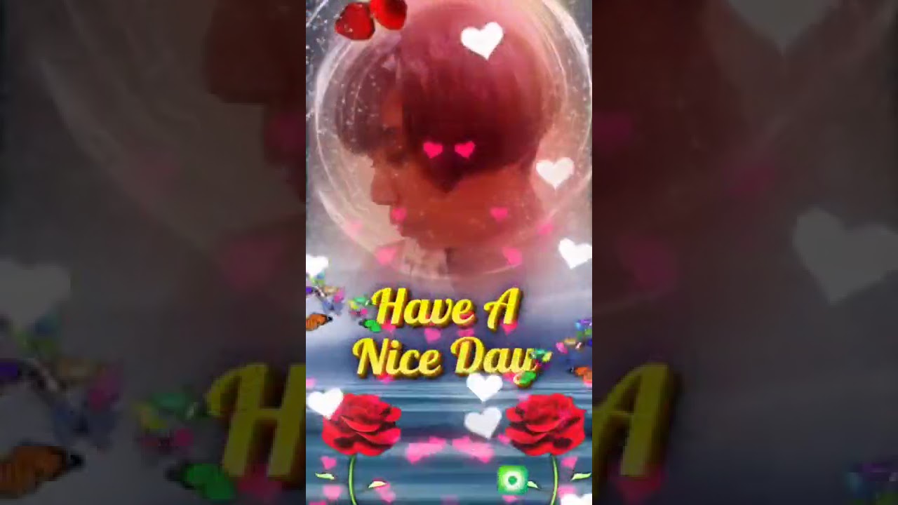 Have A Nice Day So Sweet Morning - YouTube