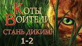 hqdefault.jpg?sqp=-oaymwEWCKgBEF5IWvKriqkDCQgBFQAAiEIYAQ==&rs ...
