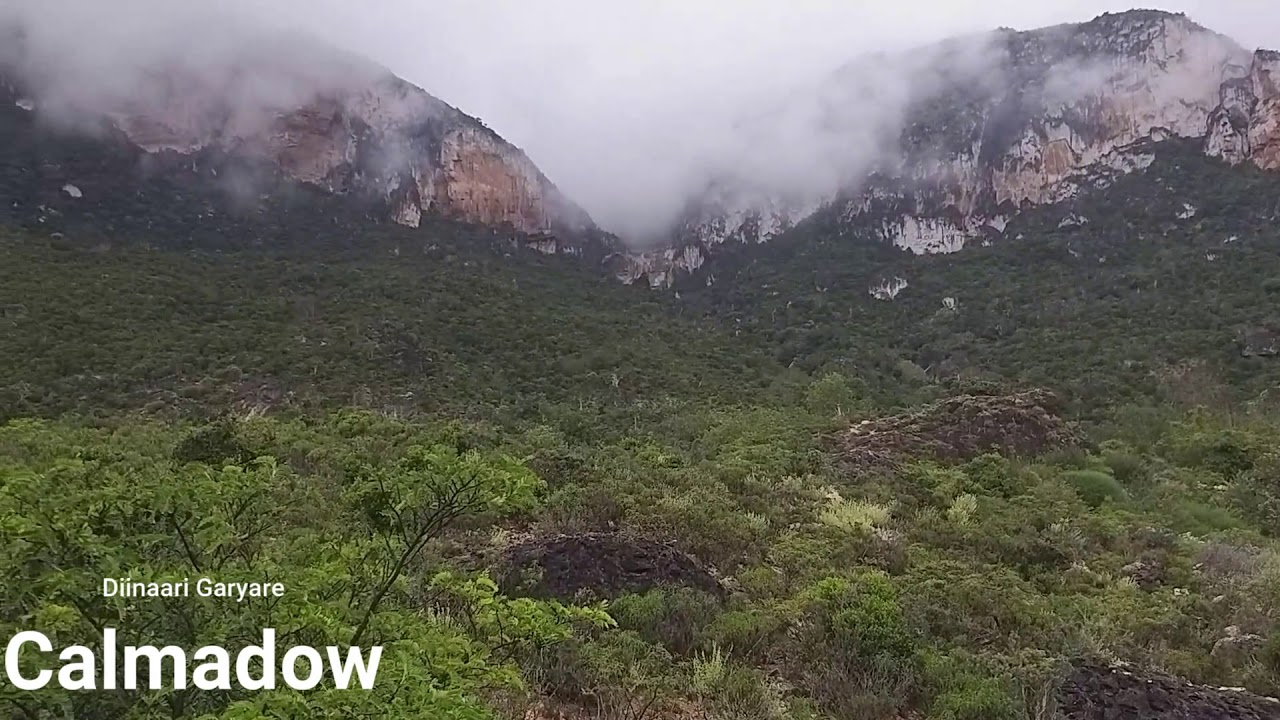 Socdaalkii Calmadow Dalmar iyo Damashaad - YouTube