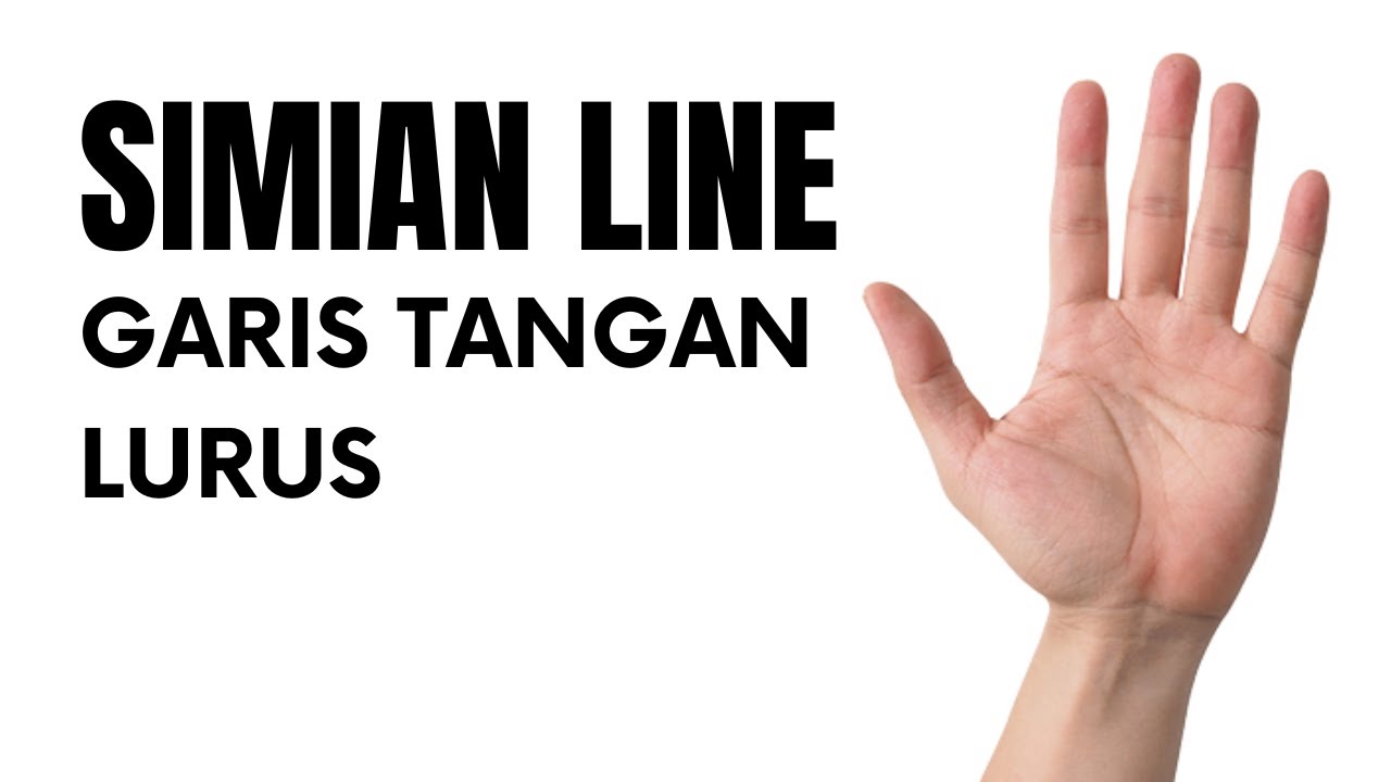 Garis Ini Memiliki Pukulan Panas dan Kelebihan Yang Istimewa - Simian ...