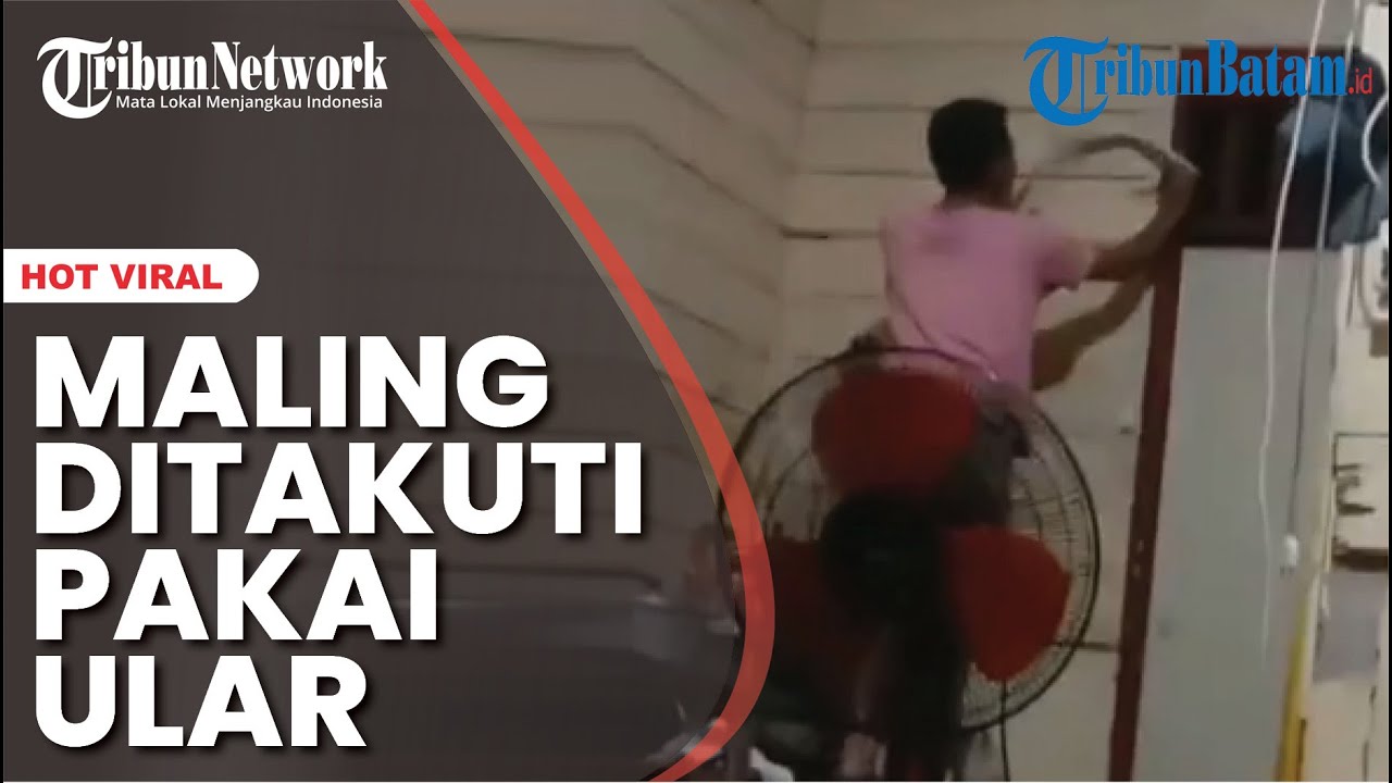 Maling Tertangkap Dikurung dan Ditakuti Ular Sampai Nangis - YouTube