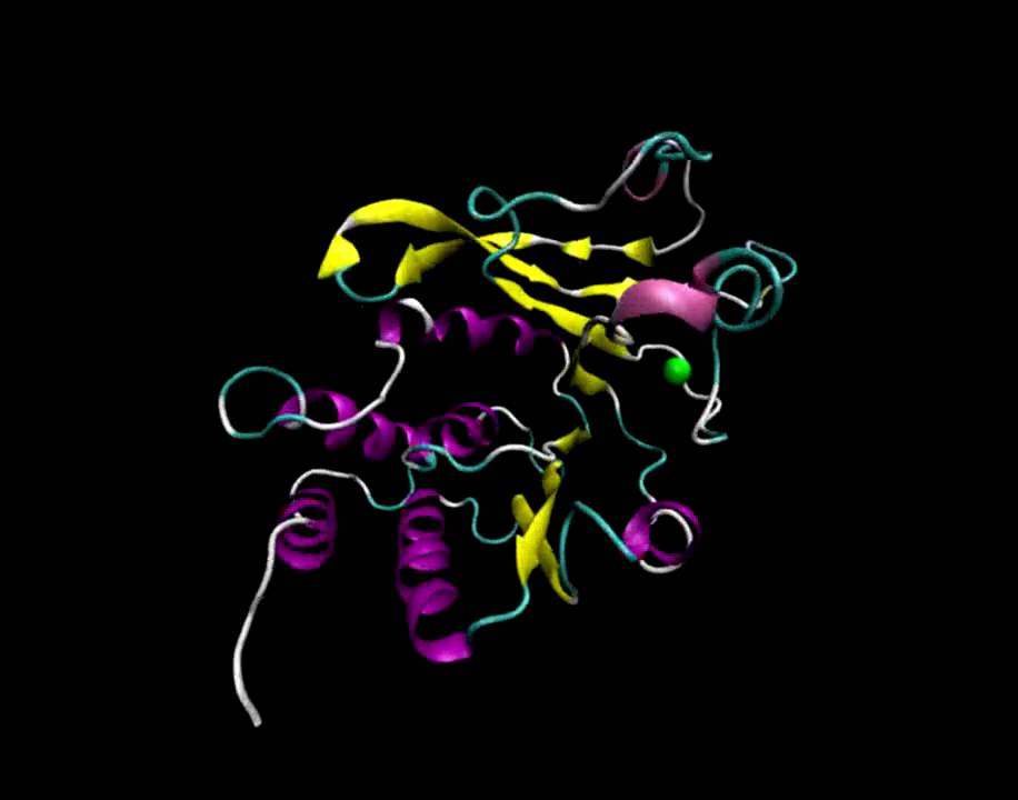 Catechol-O-Methyl Transferase - YouTube