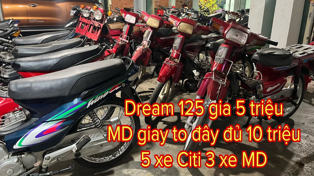 | Mới về 3 xe Dream 125 MD cúp | có 5 xe Citi 3 xe MD | ⁠@chautayninh63 ...