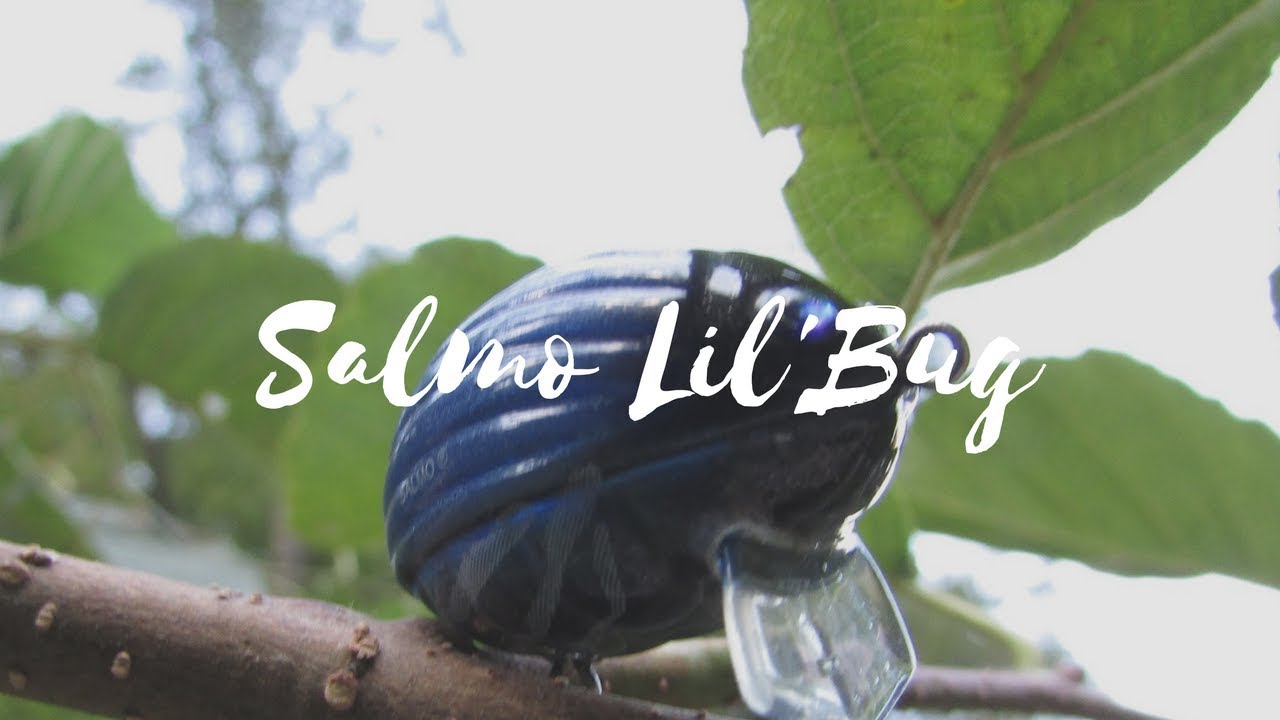 Salmo Lil'Bug - YouTube
