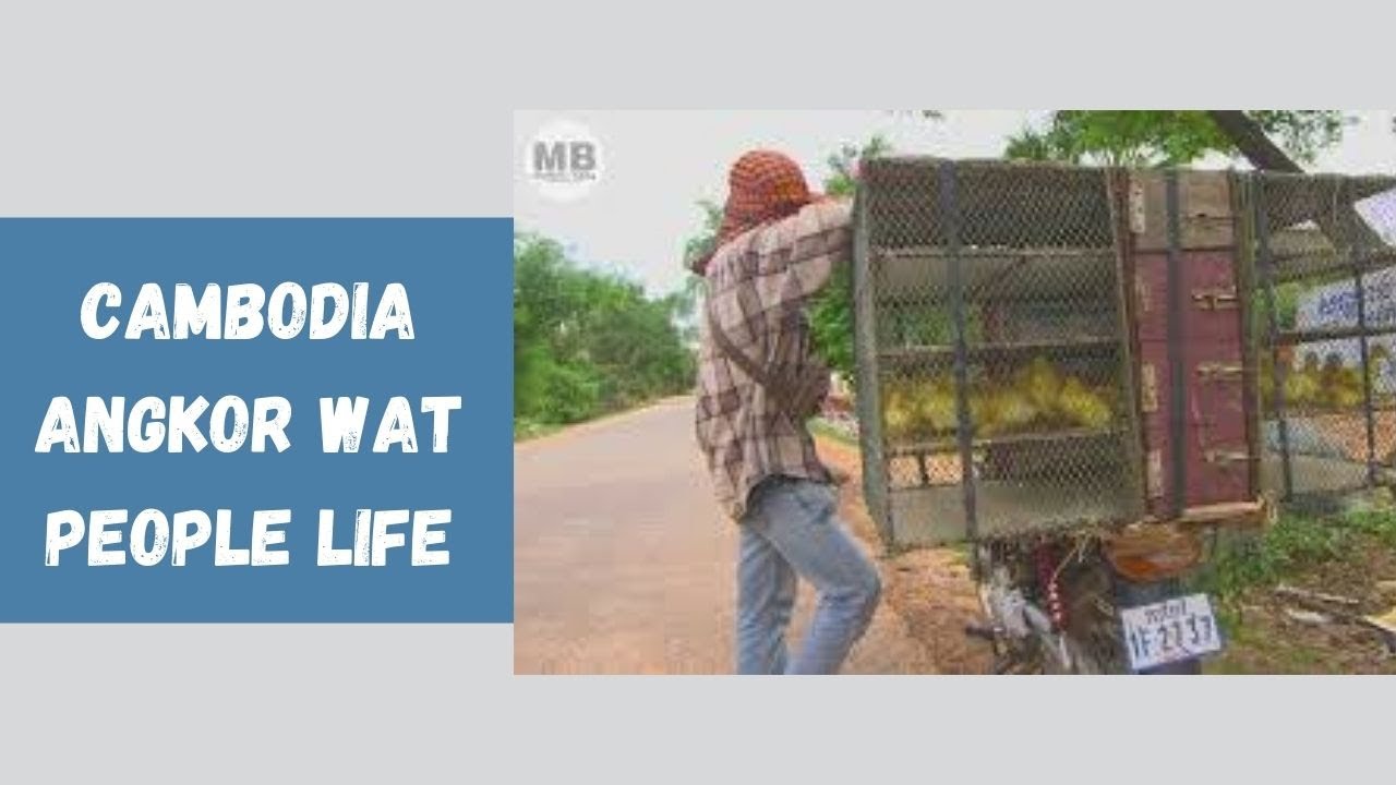 Chicken Seller On Road in Angkor Wat Temple Cambodia UNESCO World ...