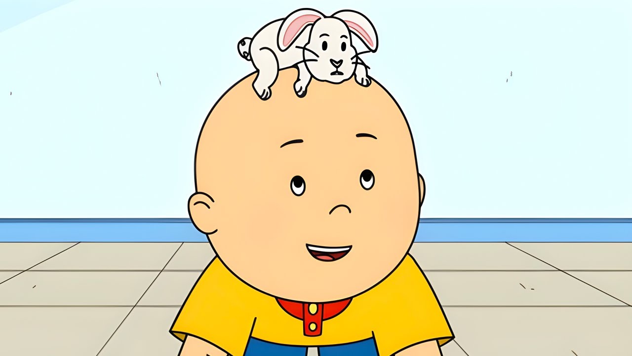 Caillou's Pet Bunny | Caillou's New Adventures - YouTube