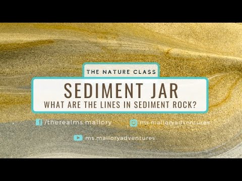 How Is Sediment Rock Made? Sediment Jar Activity - YouTube