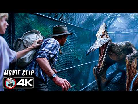 Pteranodons Attack! | JURASSIC PARK III Scene (4K)