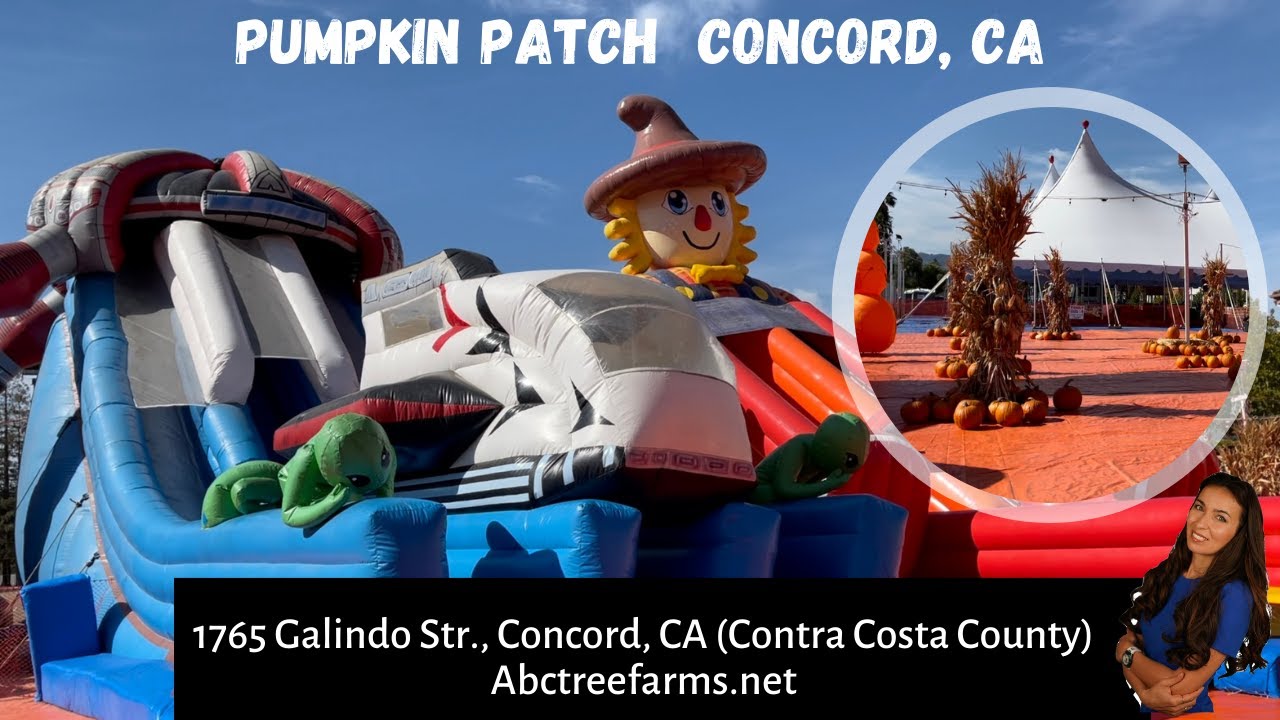 Pumpkin Patch 2021 Concord, CA Contra Costa County - YouTube