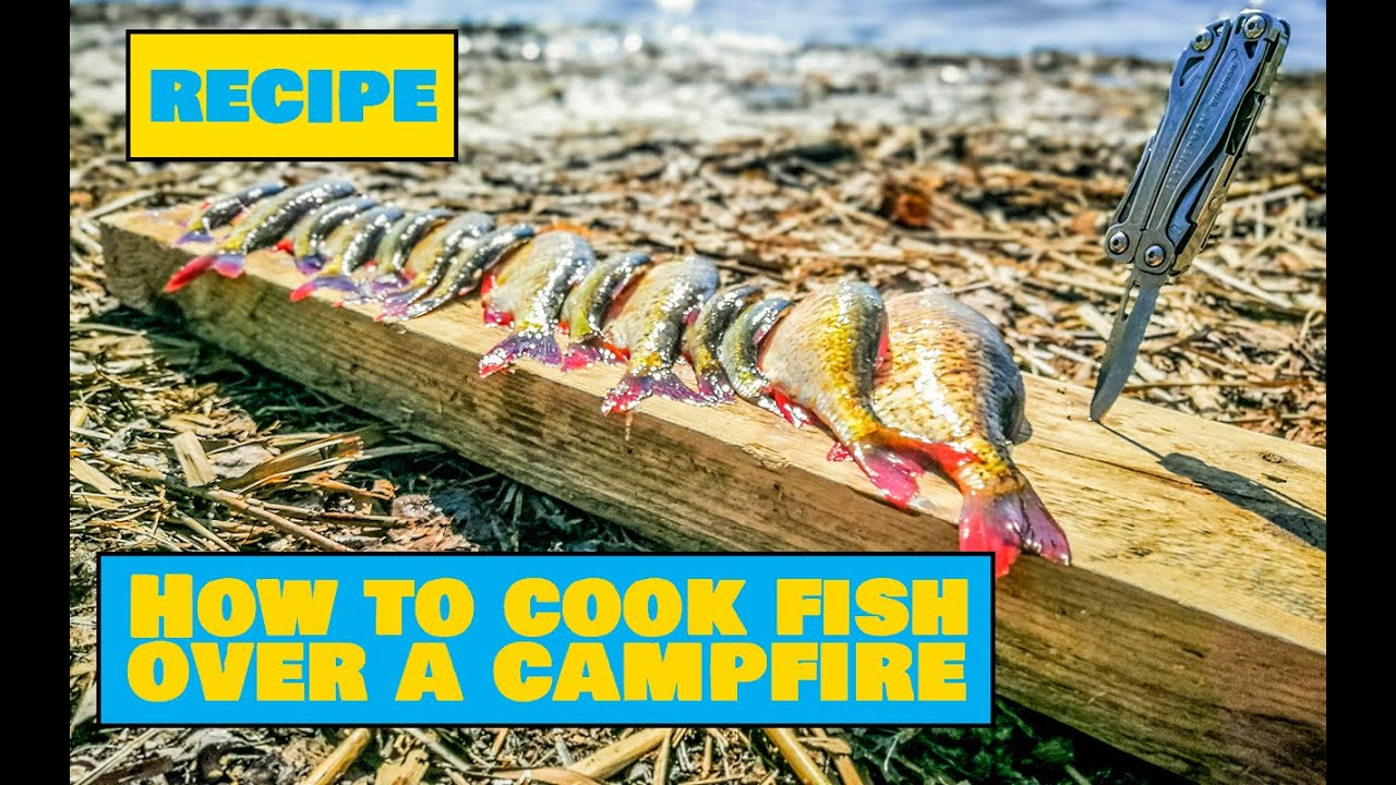 How to Cook Fish Over a Campfire [ 3 Easy Outdoors Cooking Tips ] - YouTube