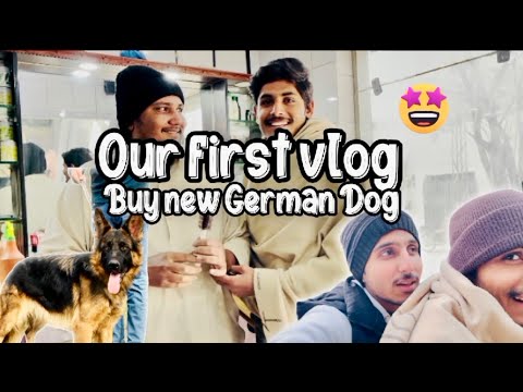 Our first vlog / Buy new Dog / YOUNGE VLOGGERS - YouTube