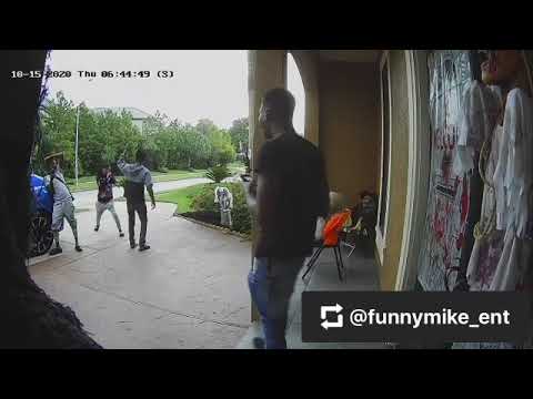 Badkid Mark and Runki play fighting 😂