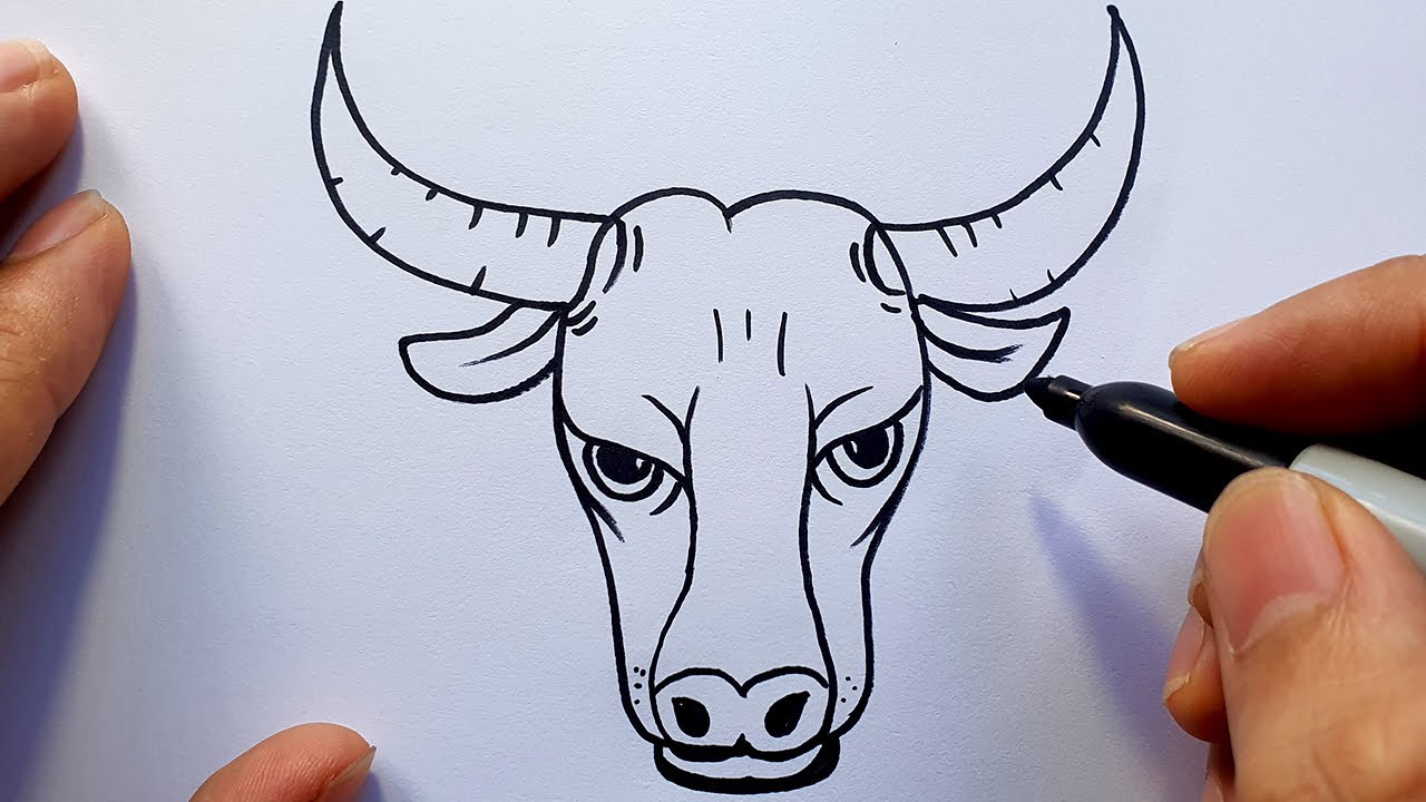 How To Draw A Cow Head Step By Step - YouTube