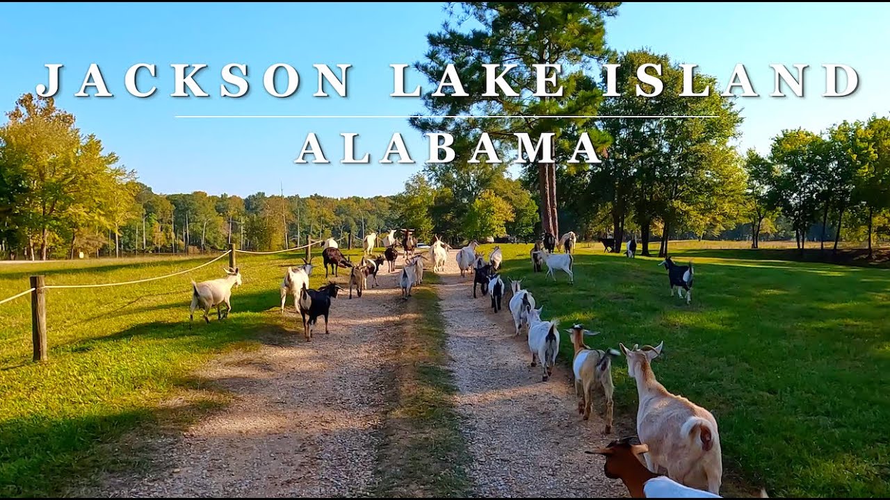 [4K] GOATS of JACKSON LAKE Island - Prattville, Alabama - Scenic 4K ...