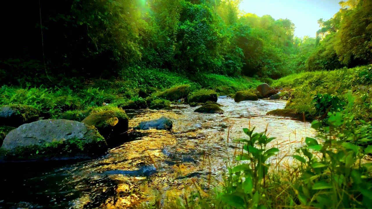 Allow yourself to be fully present in the moment as you immerse ...