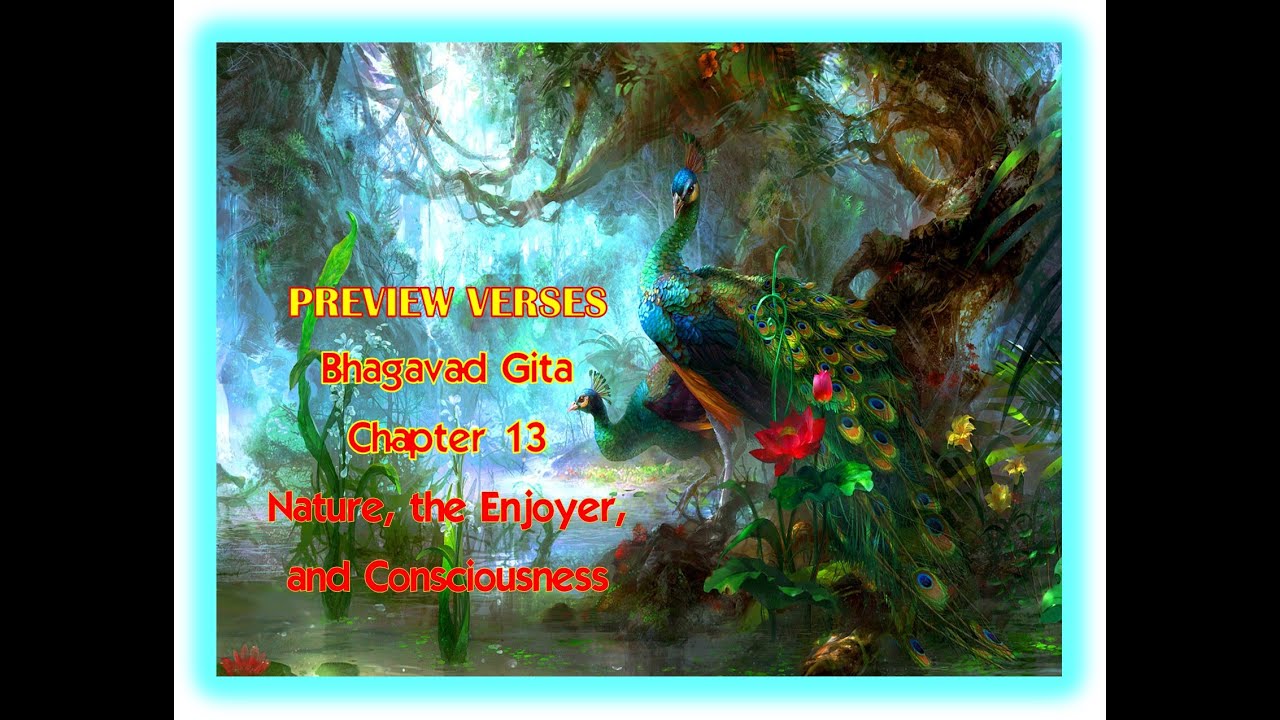 Bhagavad Gita 13 PREVIEW Verses "Nature, the Enjoyer, and Consciousness ...