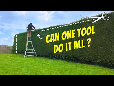 Trimming a LARGE Conifer Hedge - ECHO Hedge Trimmers have a hidden SECRET!