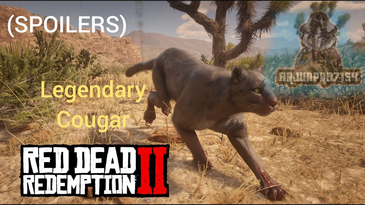Red Dead Redemption 2 - Legendary Cougar - YouTube