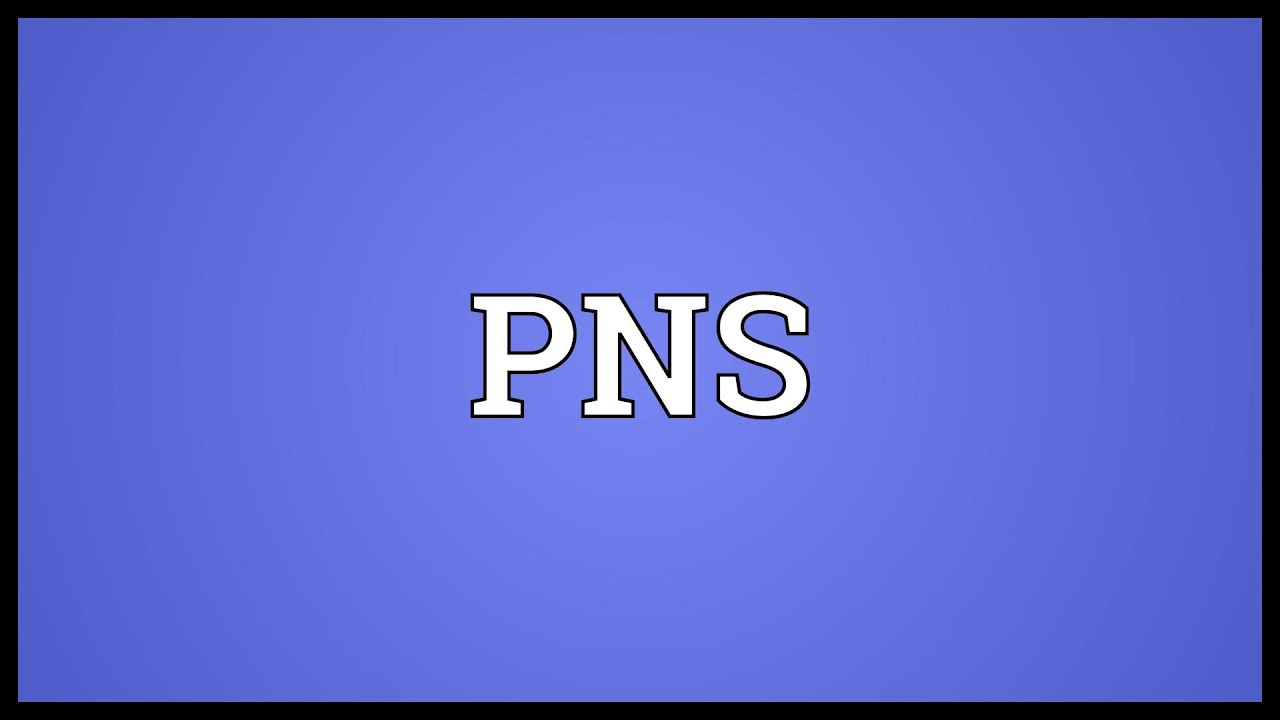 PNS Meaning - YouTube