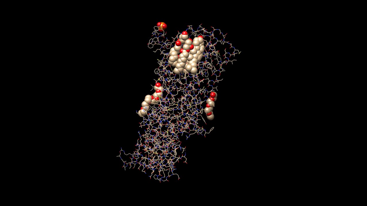 animation of protein structure of mu-opioid receptor - YouTube