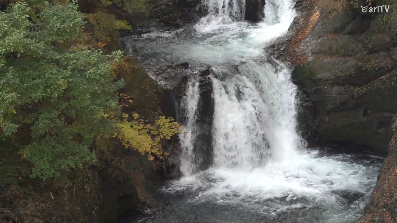 Listen to Cry of Phoenix in Sendai - YouTube