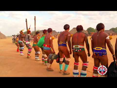 Support the Yawalapiti Indigenous community in Brazil through the COVID-19 crisis