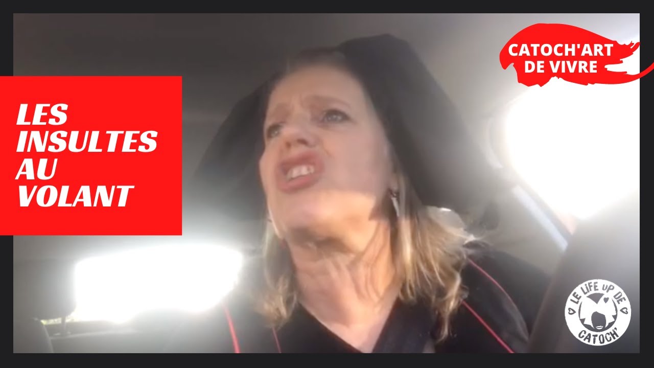 Comment maitriser l'art de l'insulte au volant ? 🚘 👊 #Alsace/#Paris ...