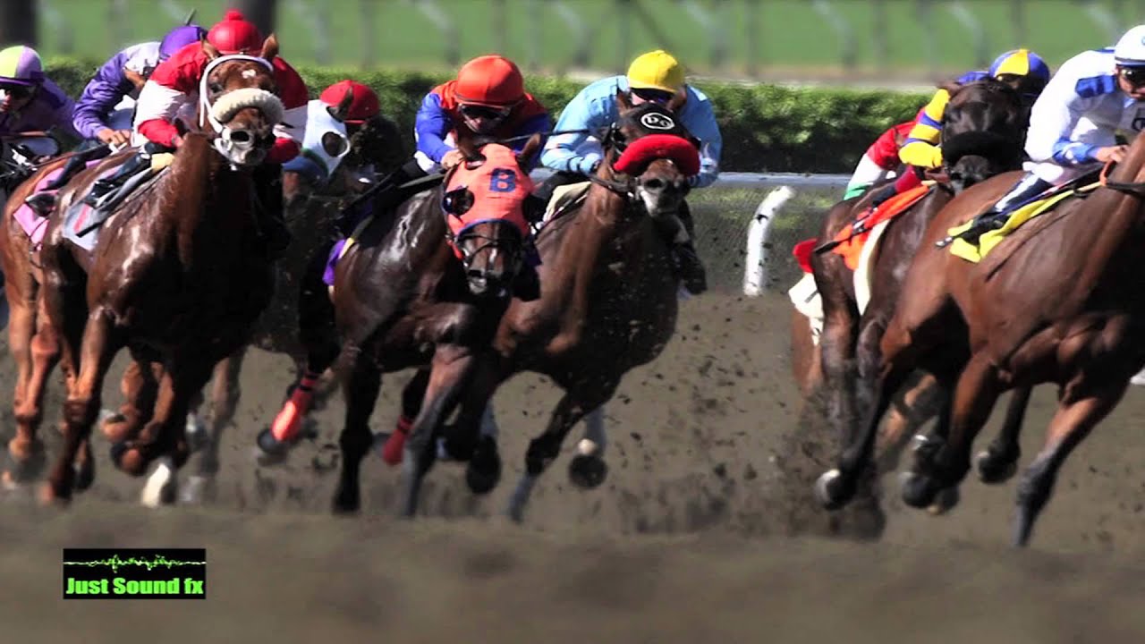 gallop sound - YouTube