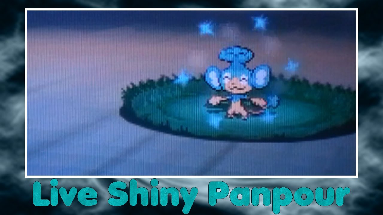 [Phase 1][Live] Shiny Panpour/Flotajou after 602 RE ! - YouTube