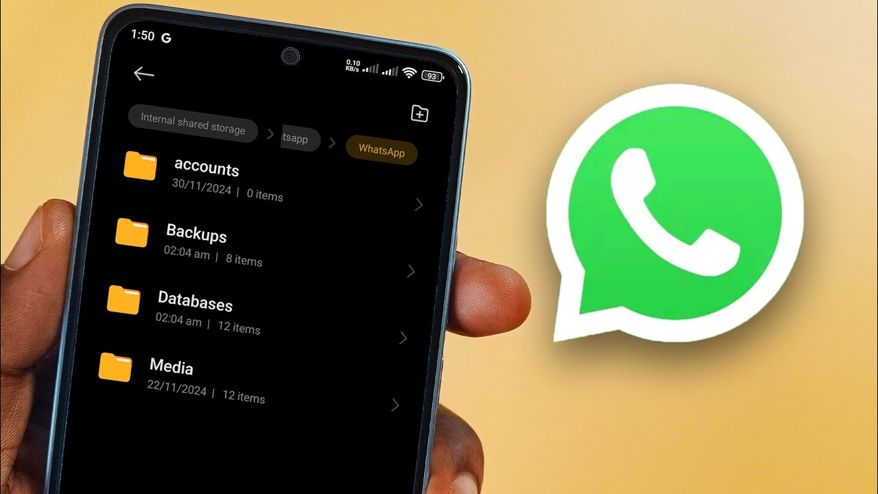 How to Access WhatsApp Files - View all WhatsApp Files (Pics, Vids ...