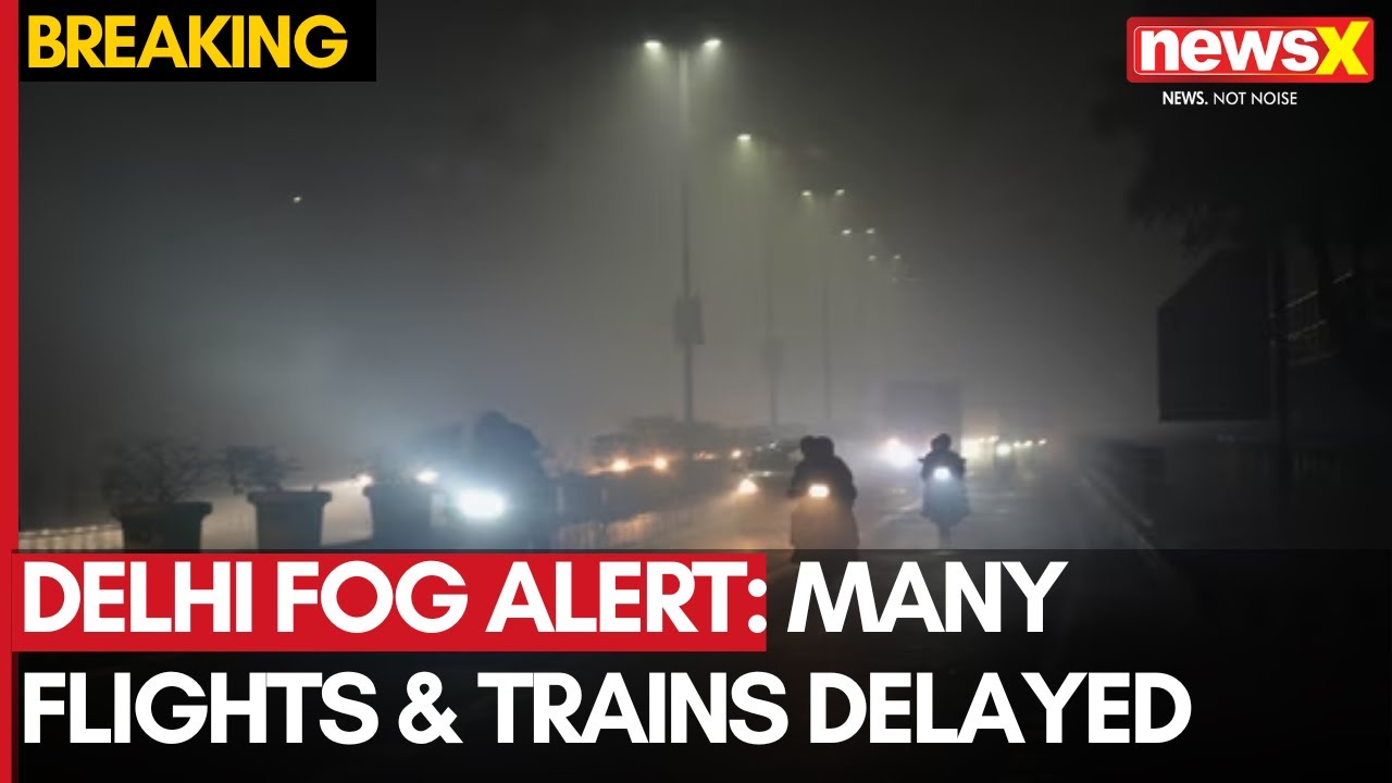 Delhi Fog Alert | Many Flights & Trains Delayed Due to Zero Visibility ...