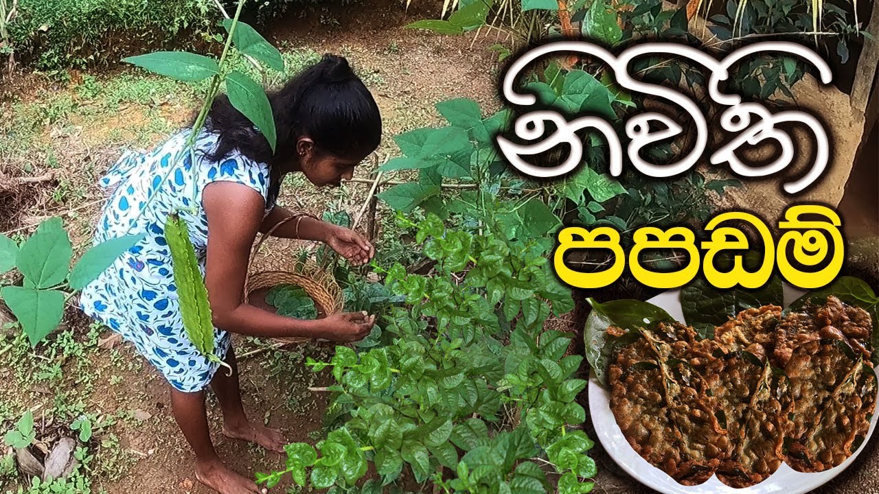 නිවිති පපඩම් හදල දුන්නොත්නම් ....පොඩ්ඩෝ ඕන වෙලාවක කයි ... | NIVITHI ...