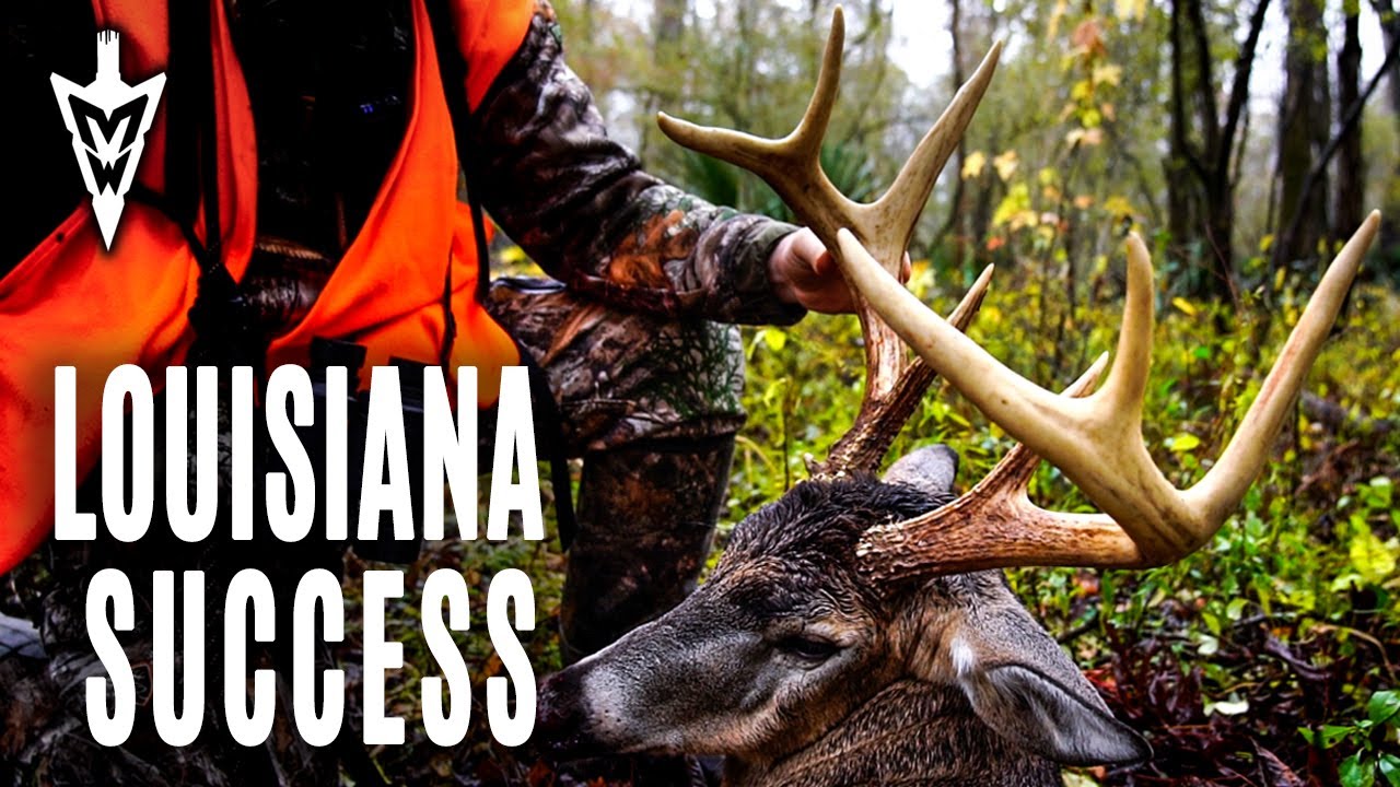Louisiana Bayou Buck, Intense Buck Fight | Midwest Whitetail - YouTube