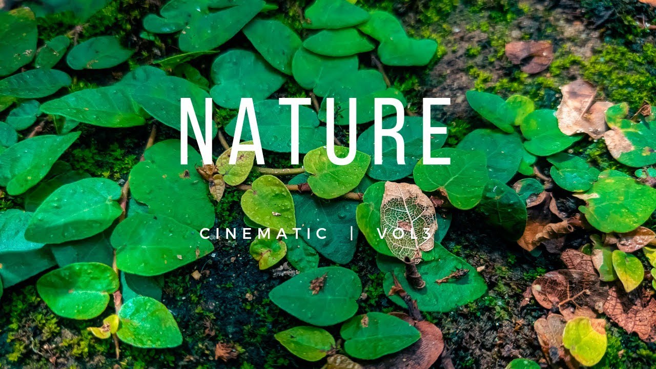 NATURE CINEMATIC Video - YouTube