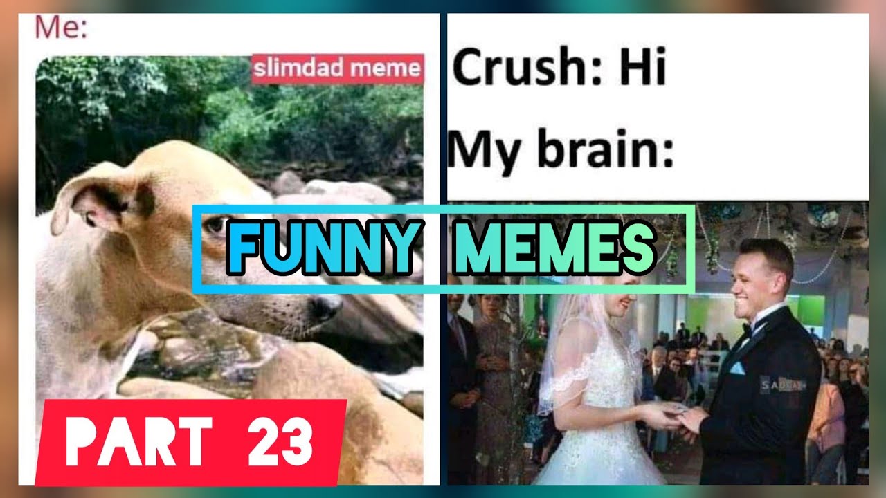 LEDGEND MEMES|only legend will understand|Only legends will understand ...