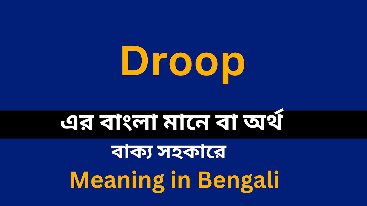 Droop meaning in bengali/Droop শব্দের বাংলা ভাষায় অর্থ অথবা মানে কি ...