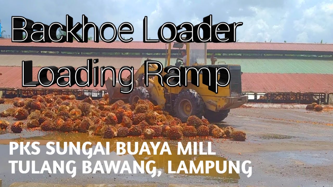 Backhoe Loader_loading ramp_pks sungai buaya mill_Tulang bawang Lampung ...