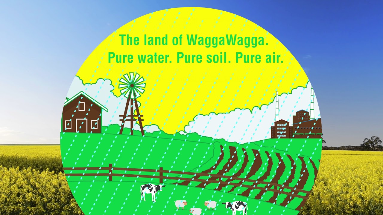 2D Animated Explainer Video for Wagga Wagga - YouTube